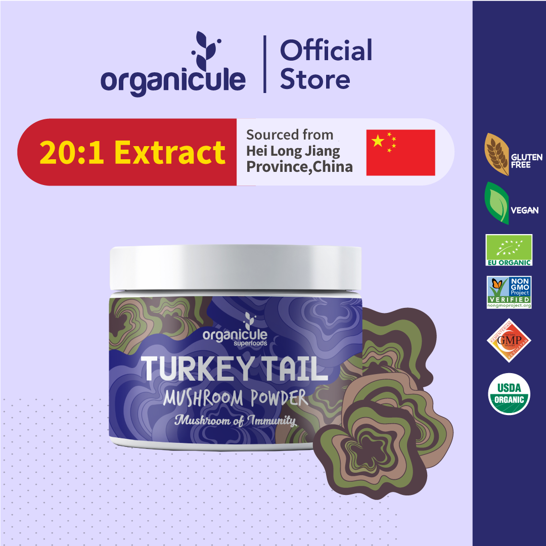 Organic Turkey Tail Mushroom Extract Powder by Organicule